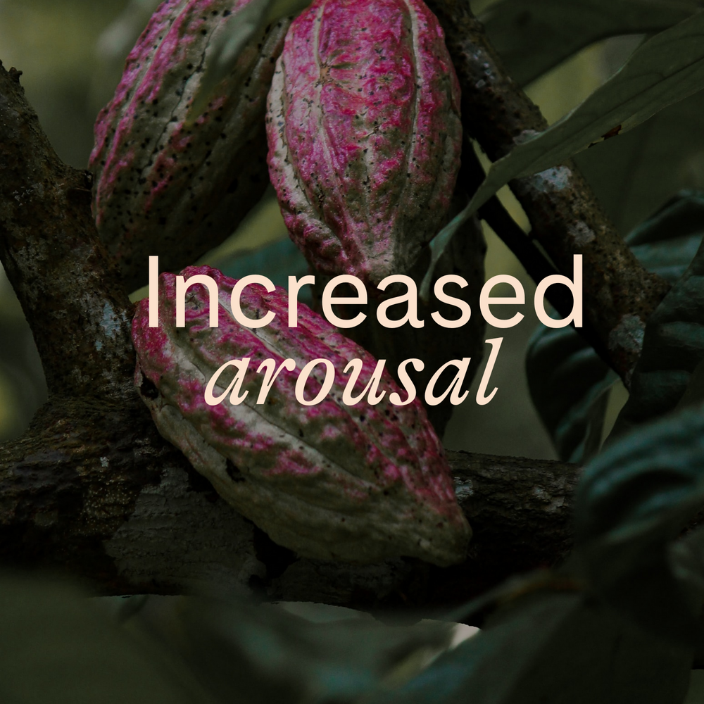 For Play Couples Chocolate | Intimacy-Enhancing Chocolates